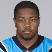 LaBryan Ray | Carolina Panthers